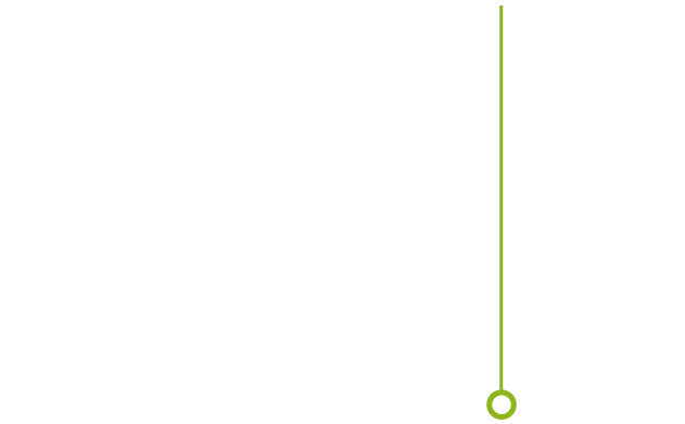 About INSUMATE® - Patented Peptide Sequence: mcIRBP-19